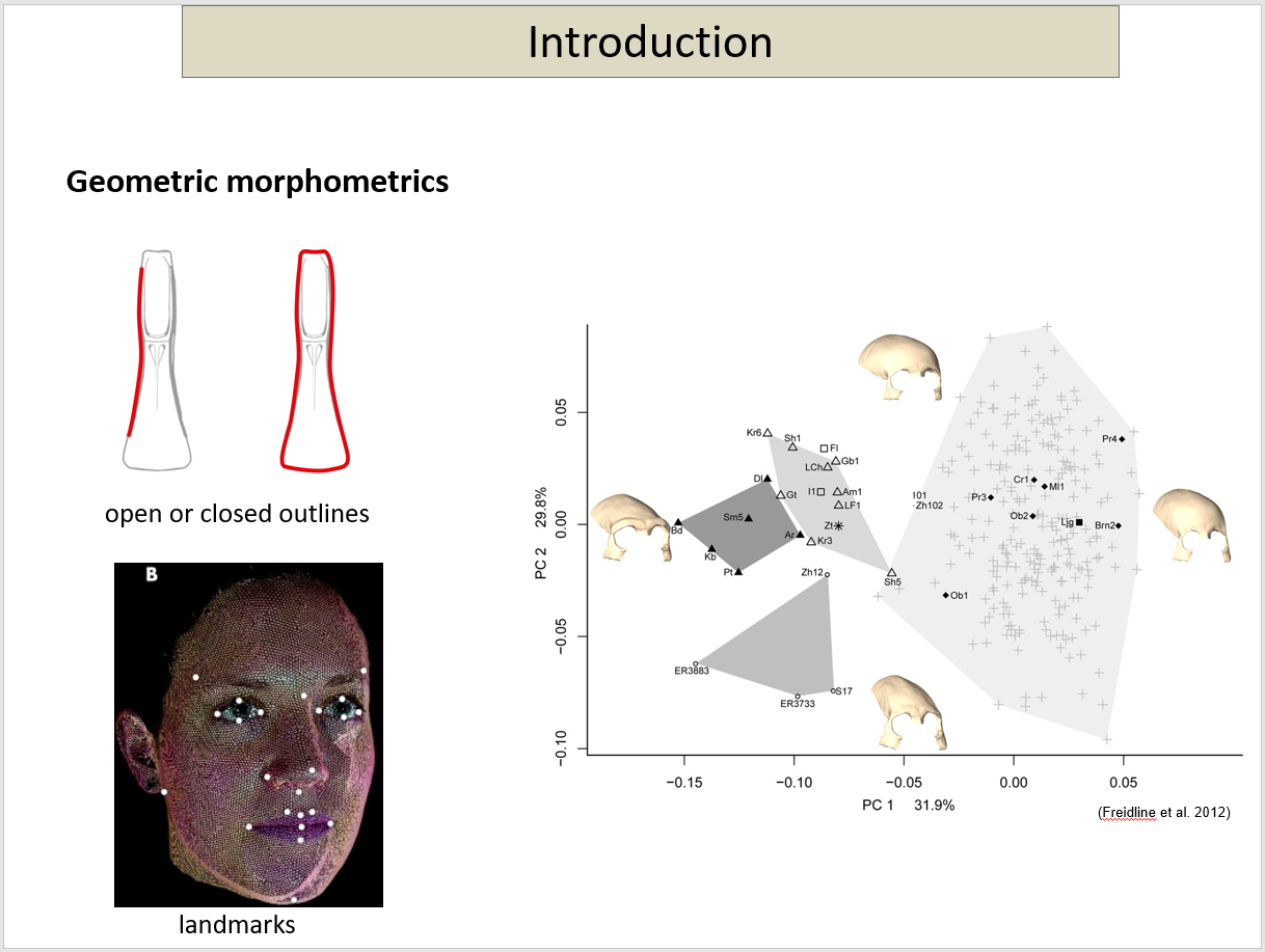 jwilczekdotcom | Morphometrics in archaeology
